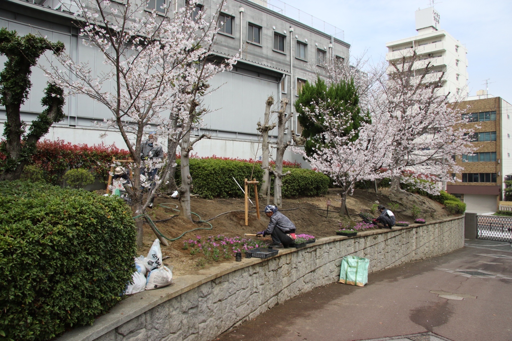 IMG_9885 | 清水谷高等学校清友会